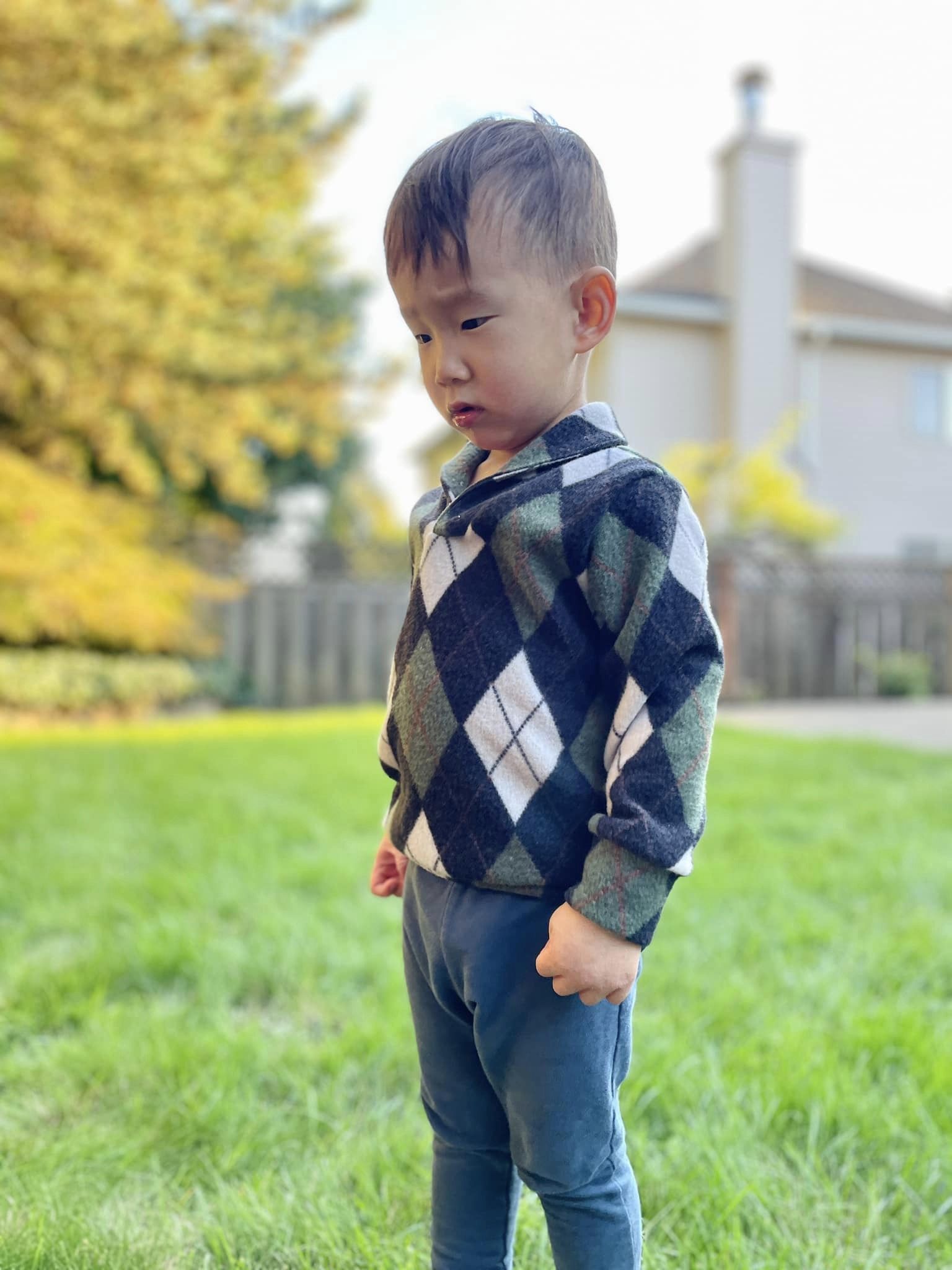 Brushed Hacci – Classic Argyle in Green and Black – Seweird Fabric